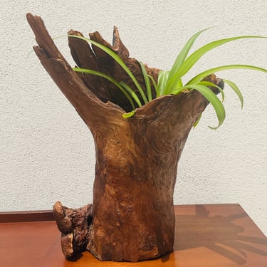 Sculptural Tree Log Vessel | Revival Vintage | North Loop - Austin, TX