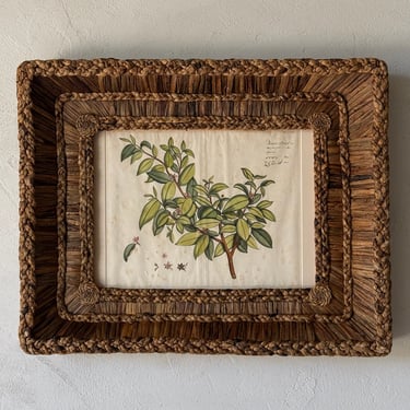 Gusto Woven Frame with Hendrik Adriaan van Rheede tot Drakenstein ...