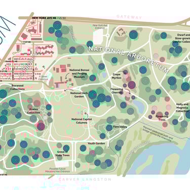 Arboretum DC neighborhood map print 11x17 | Wild Places Prints ...