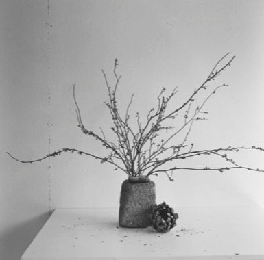 Adele Yiseol Kenworthy, Lacuna Blossoms | Transformer - Logan Circle ...