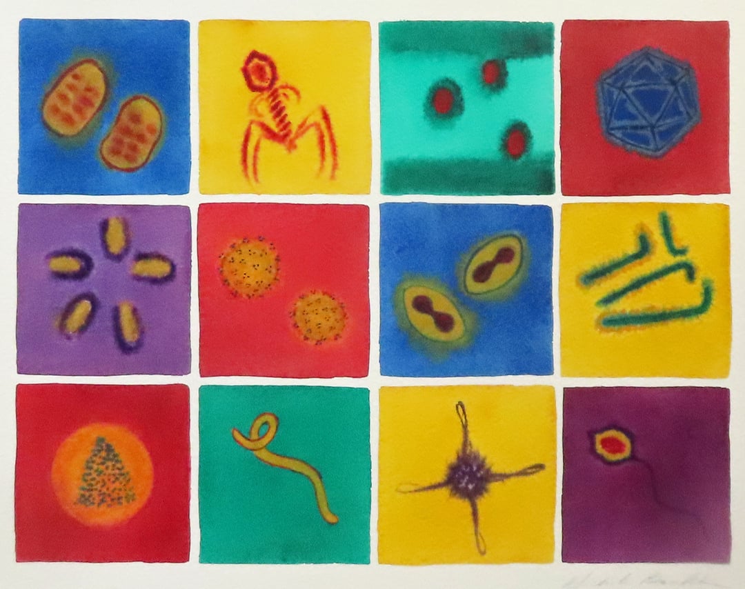 Viral Riches - original watercolor painting of viruses - microbiology ...