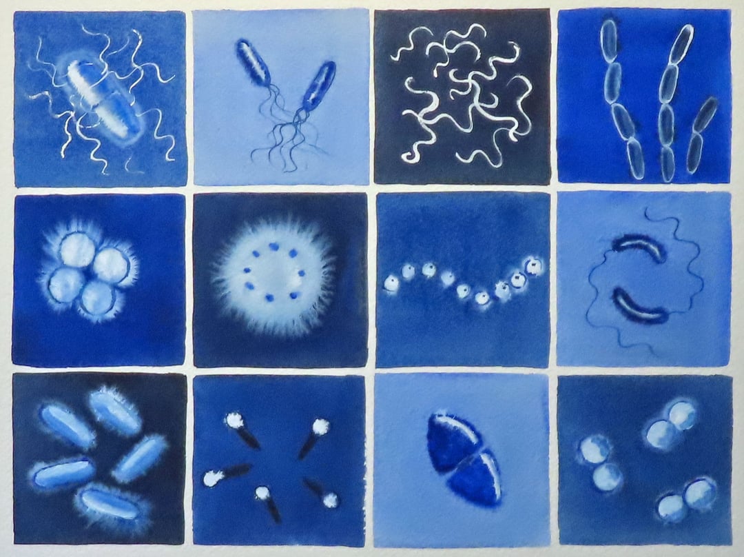 Deep Blue Bacteria - original watercolor painting of microbes ...