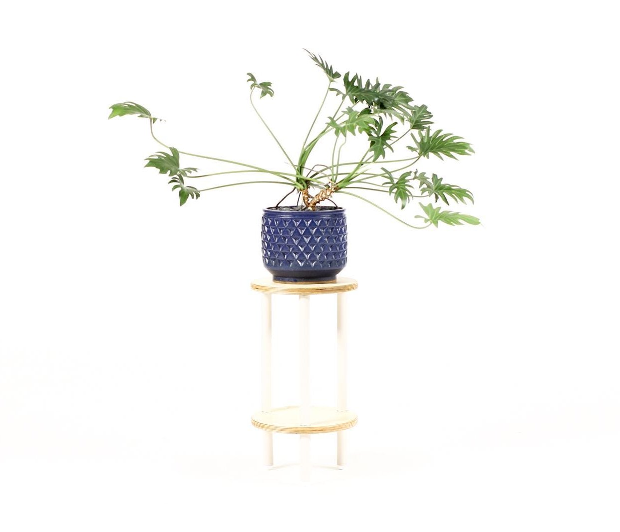Modernist / Minimalist Plywood + Tubular Steel Tall Plant Stand ...