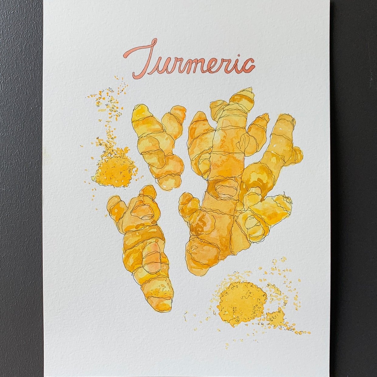 Turmeric Original Watercolor Painting | Marcella Kriebel Art ...