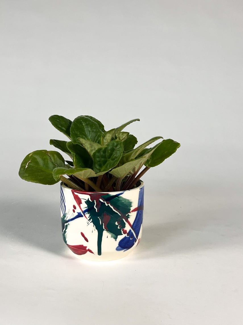 Carnival - Small Cachepot | SampleHAUS | Los Angeles, CA