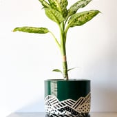 Branded Planter- Made to Order | SampleHAUS | Los Angeles, CA