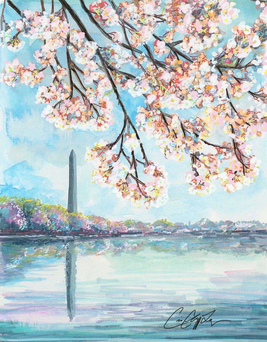 Washington Monument Tidal Basin and Cherry Blossoms by Cris Clapp ...