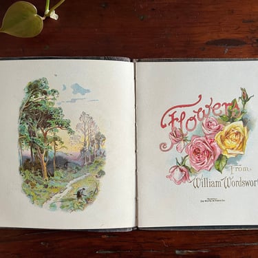 Flowers from William Wordsworth - DeWolfe and Fiske | Everthine ...