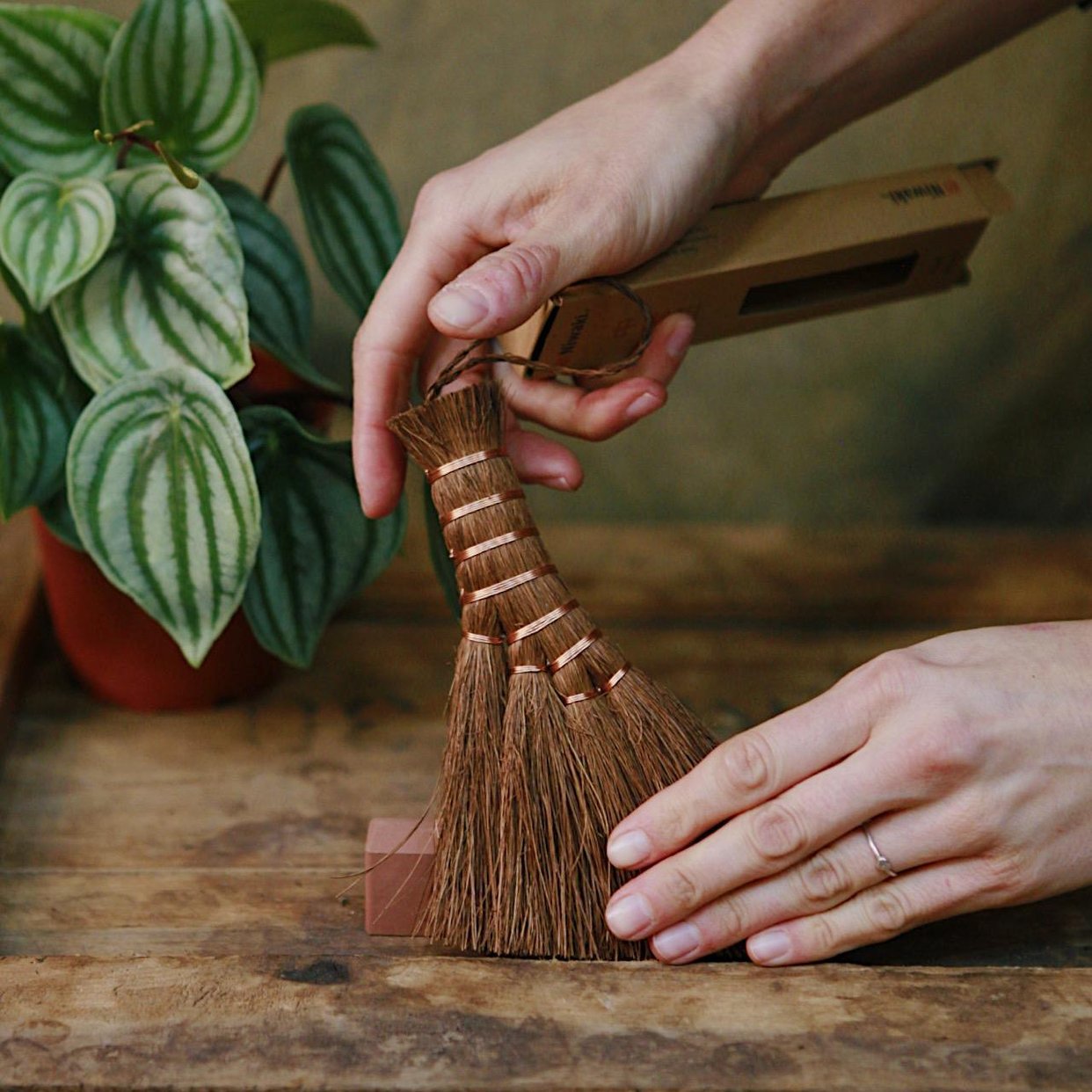 Niwaki Shuro Brush | Rewild - Shaw / Georgetown - Washington, DC | ATTIC