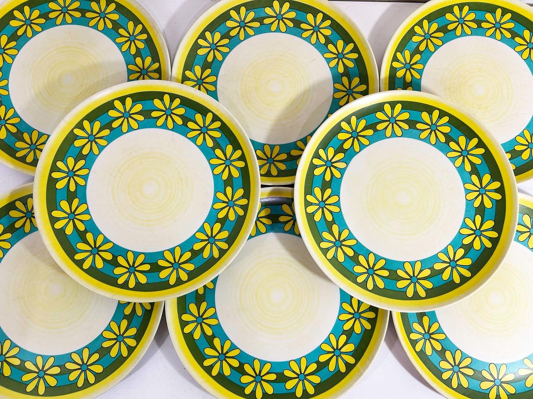Vintage Oneida Plastic Plates Melmac Set of 8 Flower Power Melamine ...
