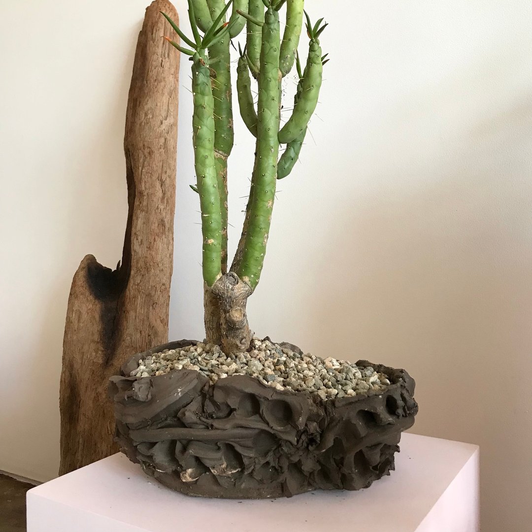 Bisque Planter | Grain | Los Angeles, CA