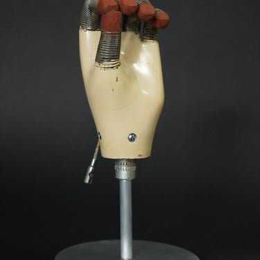 1930's Prosthetic Left Hand | Agent Gallery | Chicago, IL