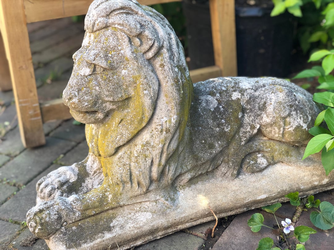 Vintage Concrete Lion Statue | Chartreuse & Co. | Frederick, MD