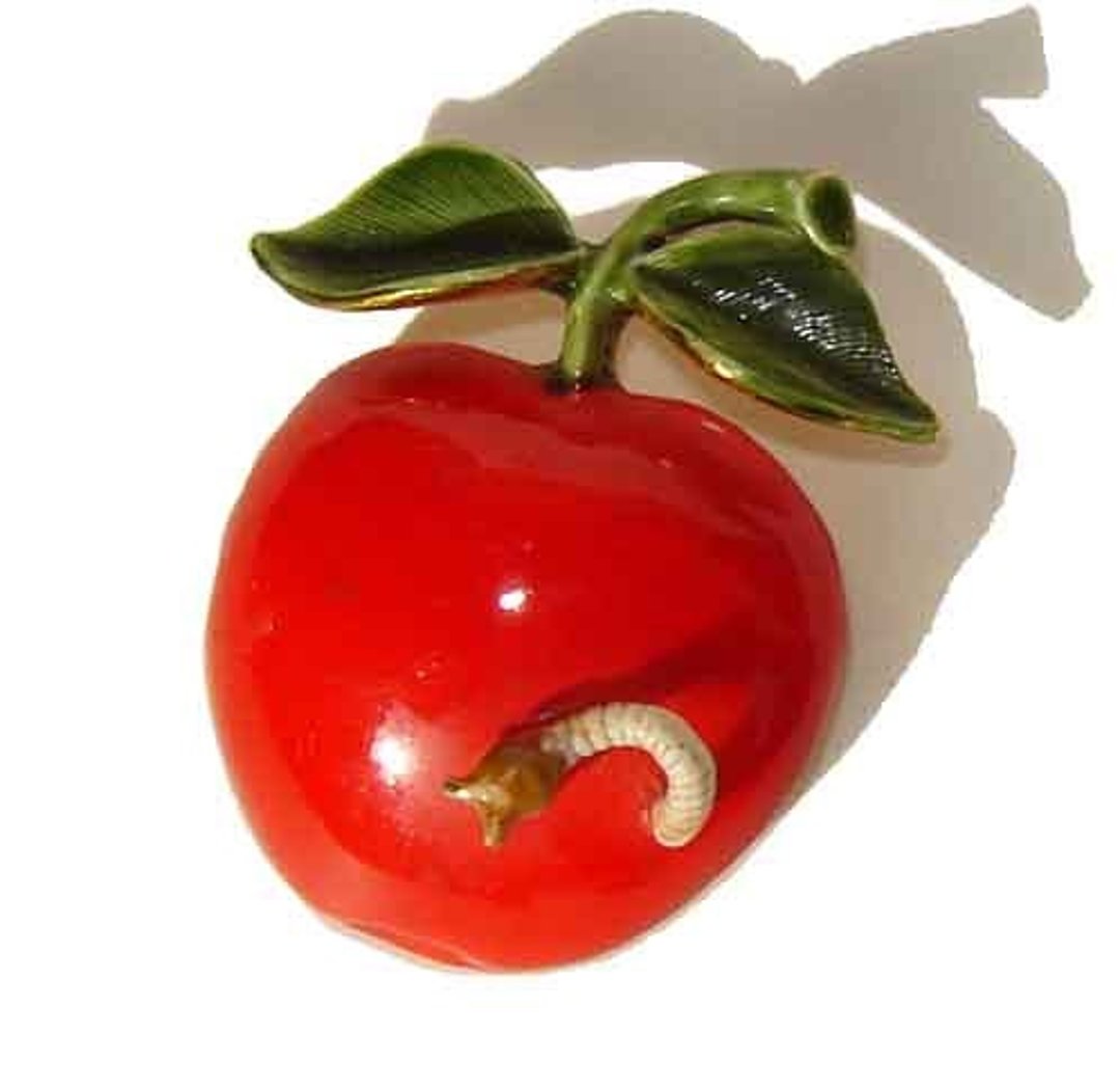 Vintage Red Apple & Worm Brooch Enamel Novelty Pin - Original | Metro ...