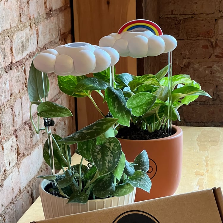 Original Cloud Drip Waterer | Vintage MC | Frederick, MD