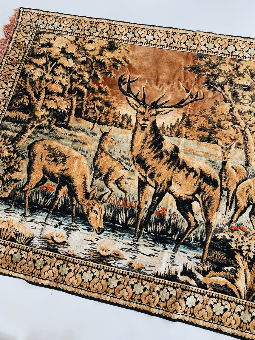 Tapestry | Arlee Park | Minneapolis, MN