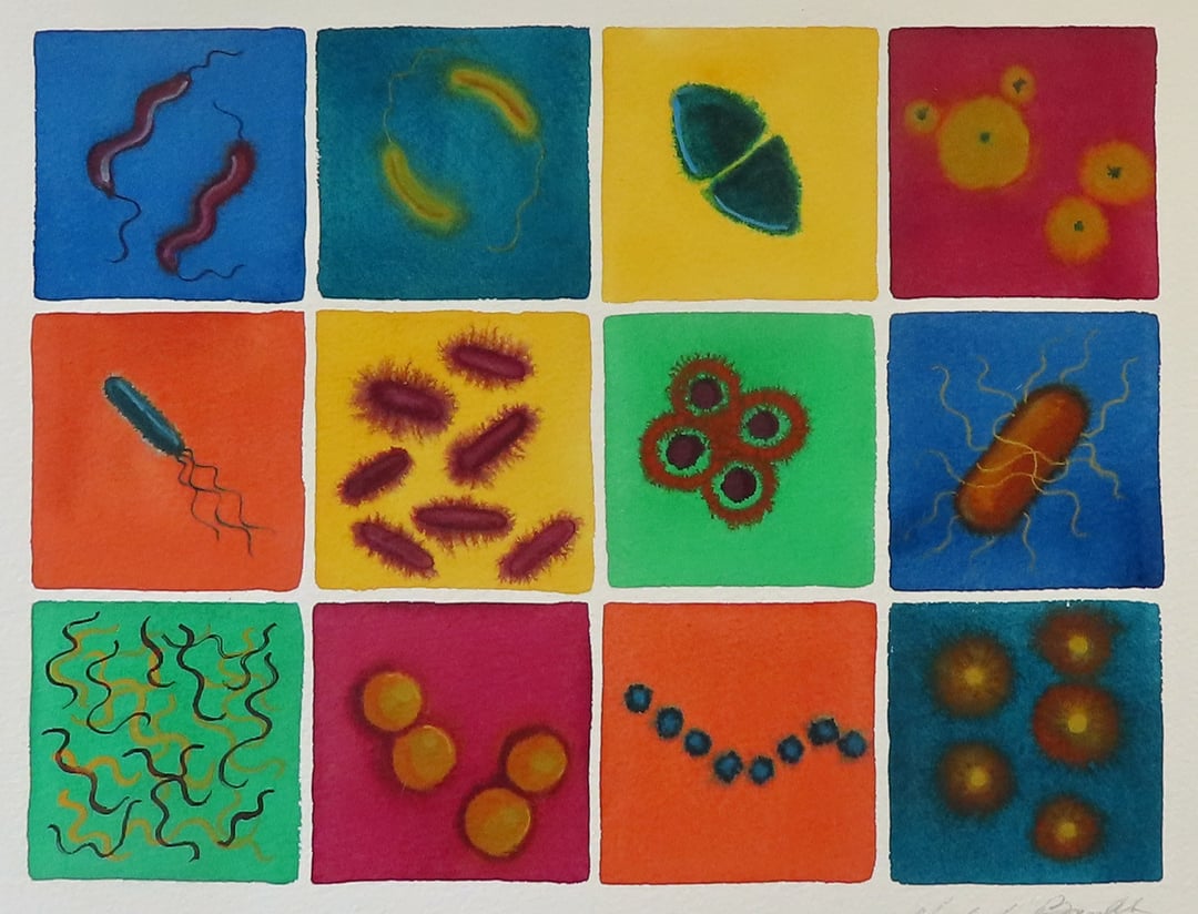 Microbial Riches 5 - original watercolor painting of bacteria ...