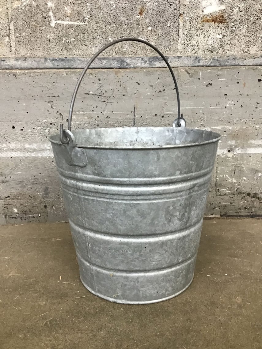 Galvanized Bucket Planter (Seattle) | Second Use | Seattle and Tacoma, WA