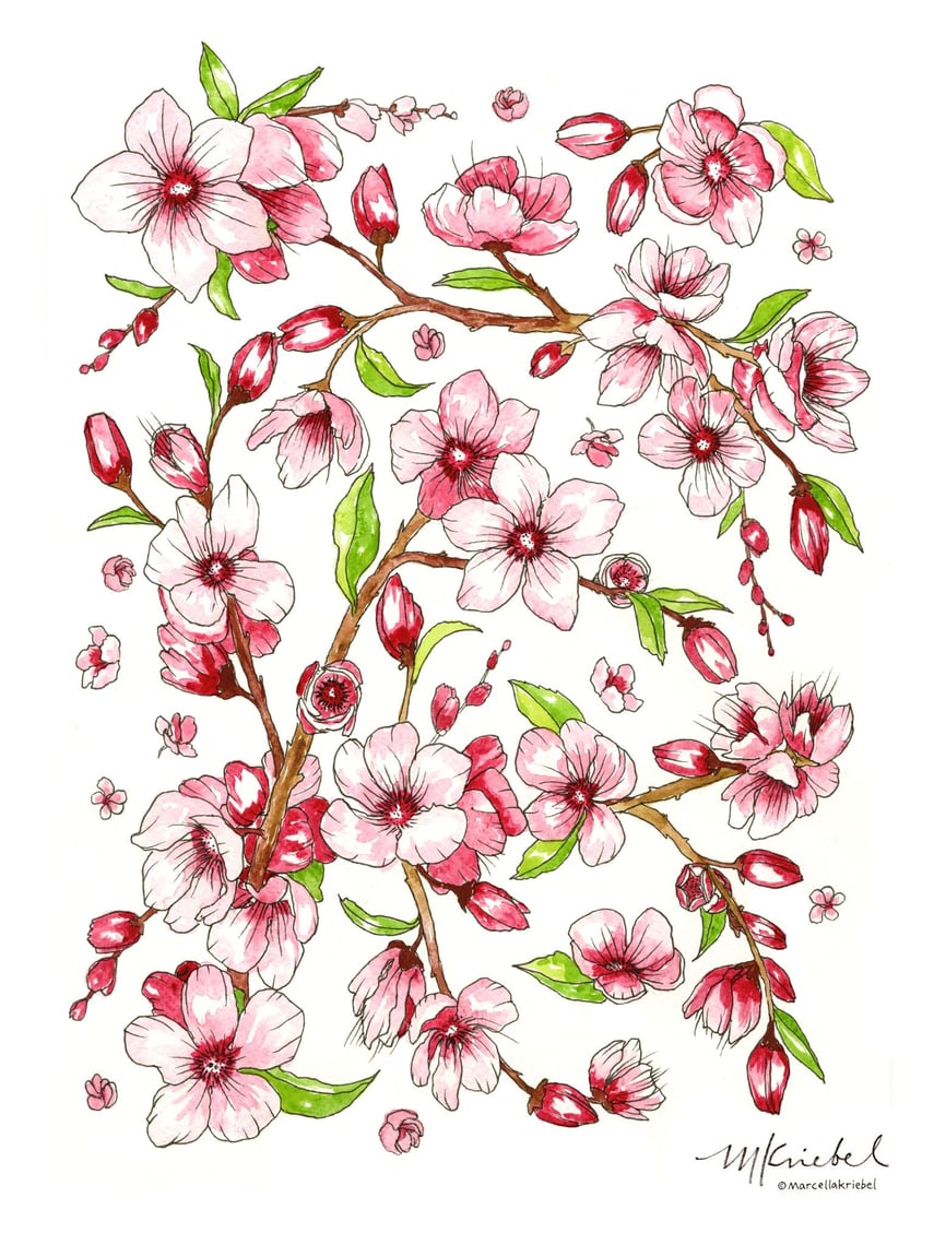 Tree Blossoms Watercolor Art Print | Marcella Kriebel Art ...