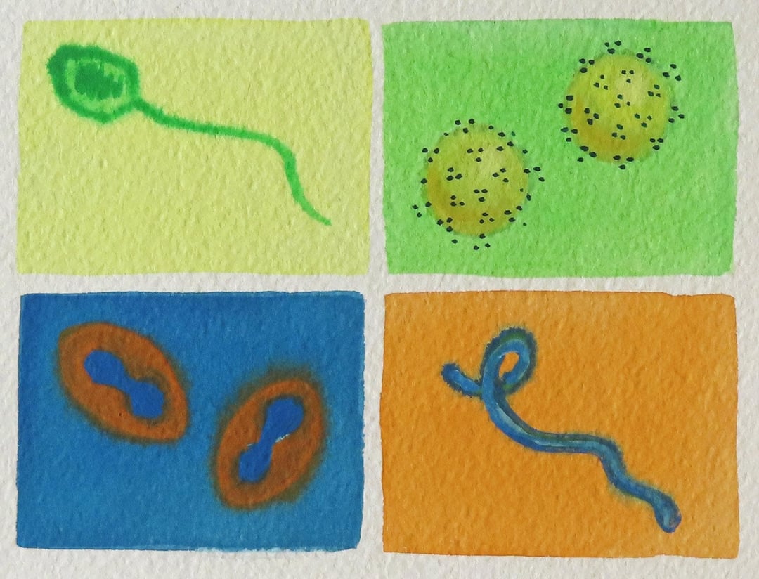 Colorful Viruses - original watercolor painting - microbiology art ...