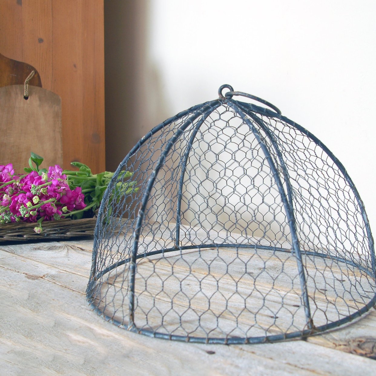 Vintage chicken wire cloche / wire mesh plant dome / | Sunflower Hill ...