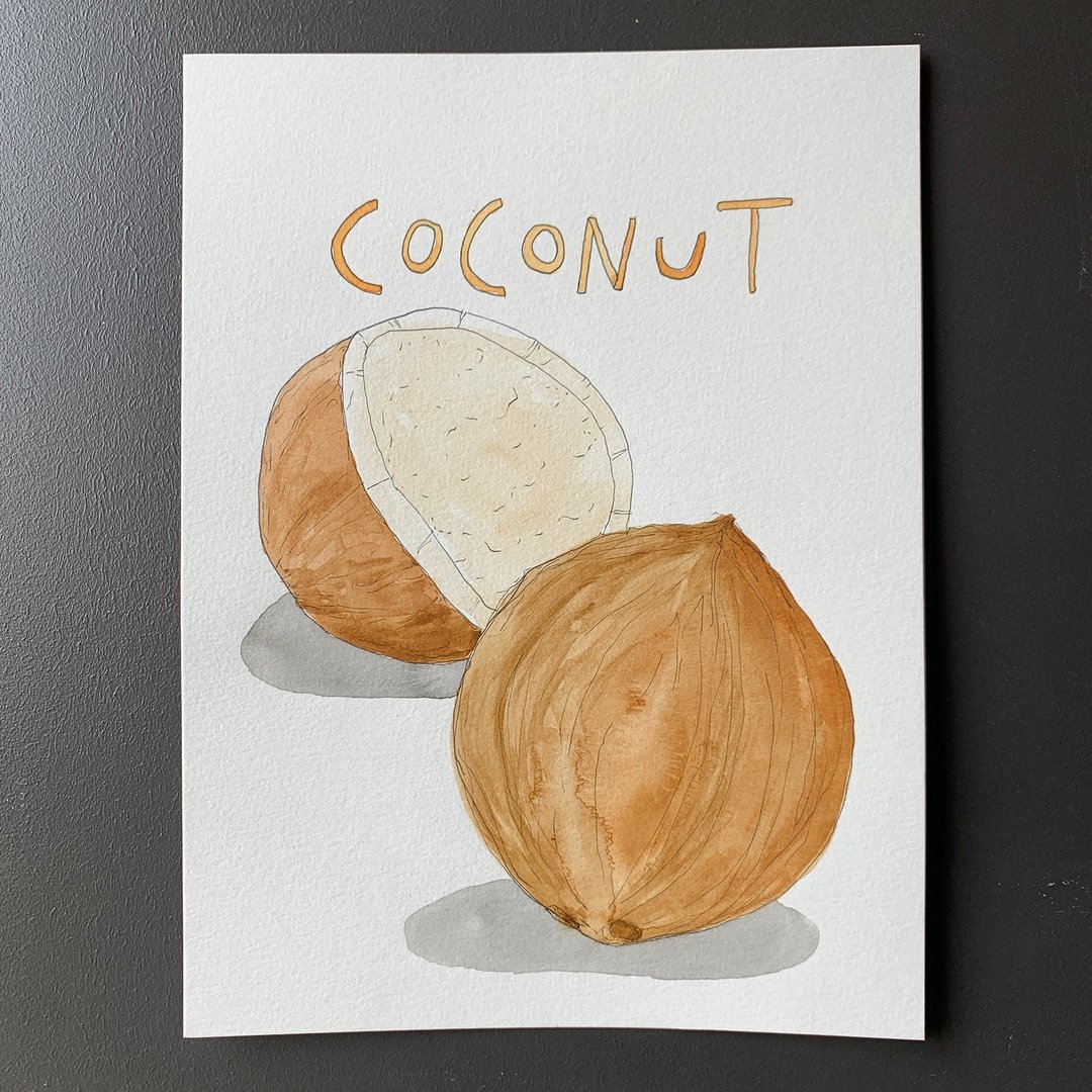 Coconut Original Watercolor Painting | Marcella Kriebel Art ...