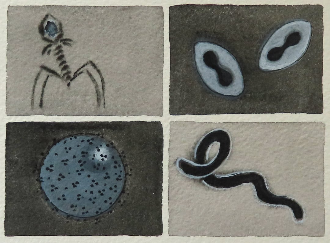 Black and White Viruses - original watercolor painting - microbiology ...