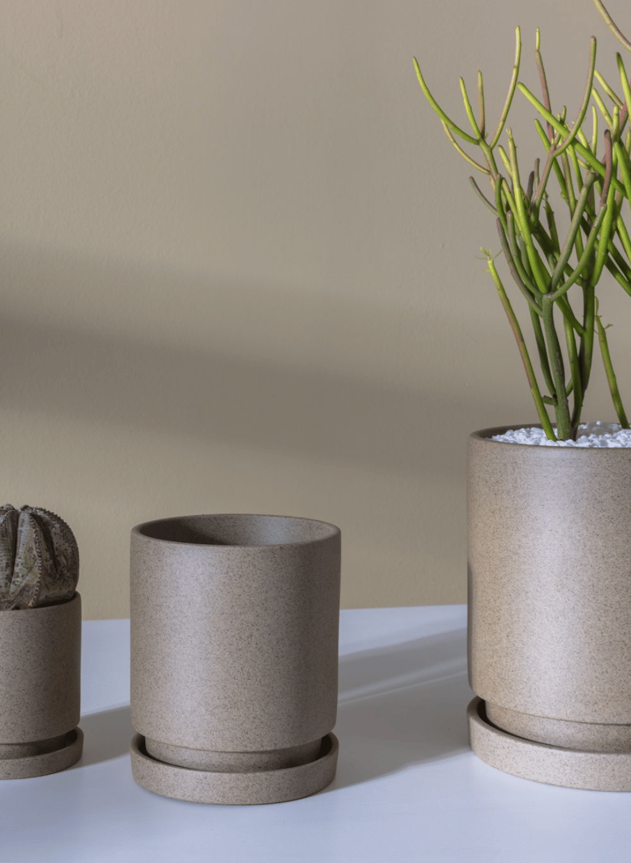 Imogen Planter | Jungle and Loom - Washington, DC | ATTIC