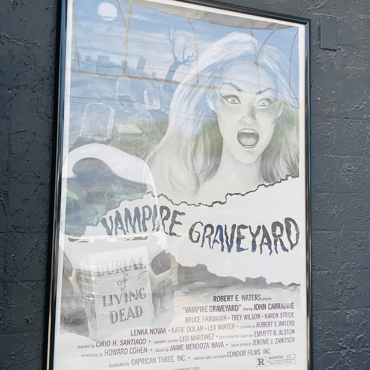 Vampire Graveyard 1970s Horror Film Poster | Revival Vintage - North ...