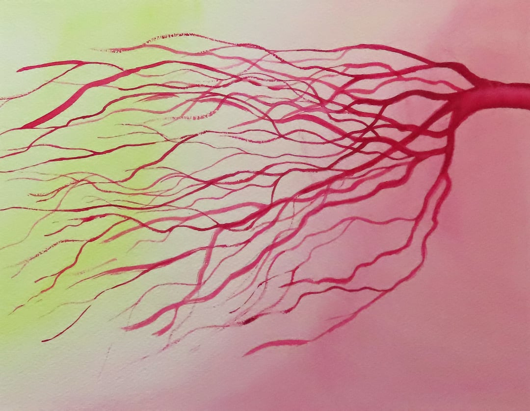 Blood Vessels - Original watercolor painting - hematology art ...