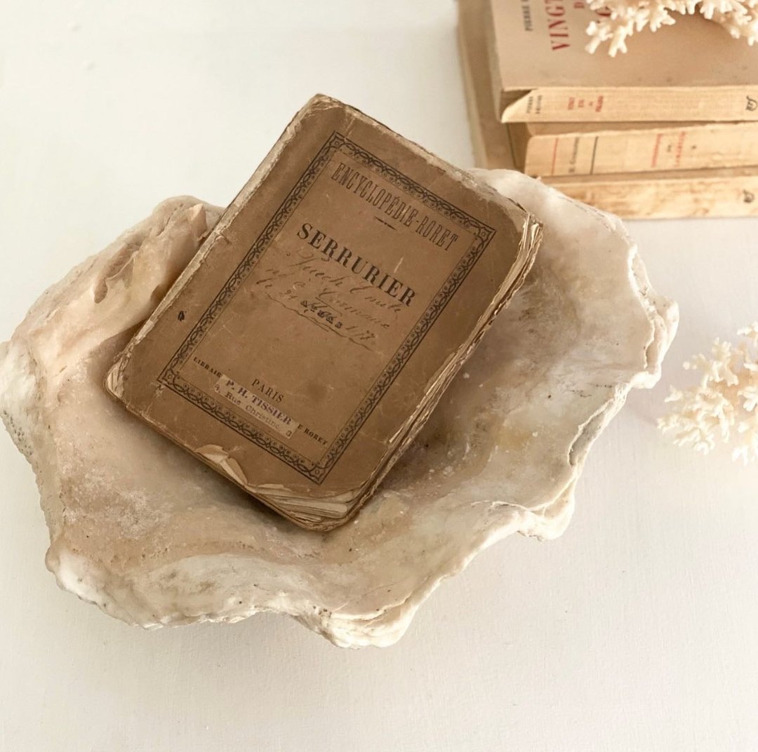 antique giant natural clam shell | Joliette | Pickering, ON, Canada