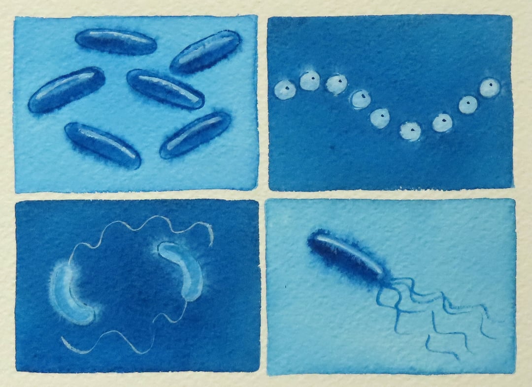Blue Microbes - original watercolor painting of bacteria - microbiology ...
