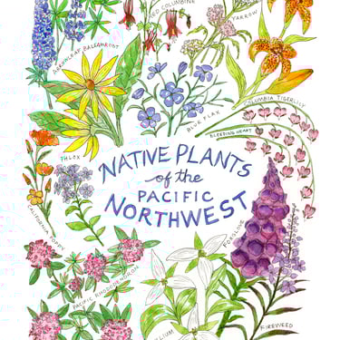 Native Plants of the Pacific Northwest Watercolor Art Print | Marcella ...