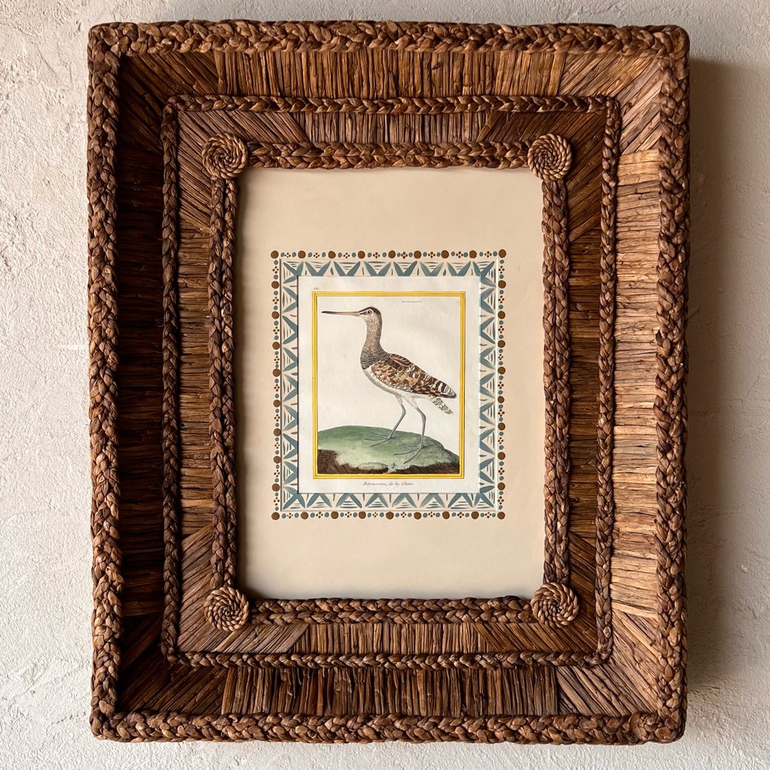 Gusto Woven Frame with Francois Nicolas Martinet Hand-Colored Bird ...