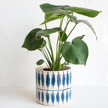 6" Tico Planter | Salt & Sundry - Union Market & Logan Circle ...