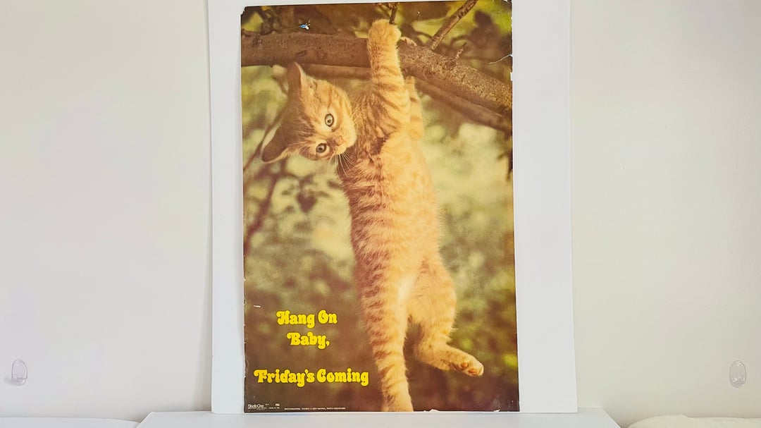 Vintage 1970s Groovy Hippie Cat Wall Art Poster 1973 Hang On | Mod ...