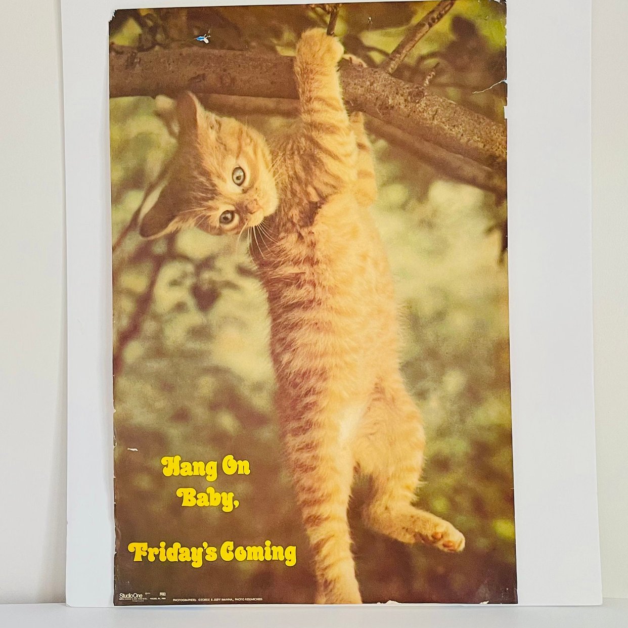 Vintage 1970s Groovy Hippie Cat Wall Art Poster 1973 | Mod Squad ...