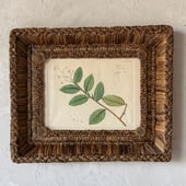 Gusto Woven Frame with Hendrik Adriaan van Rheede tot Drakenstein ...