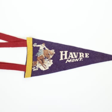 Vintage 40's Havre Montana Felt Pennant - Purple | Attention Span ...