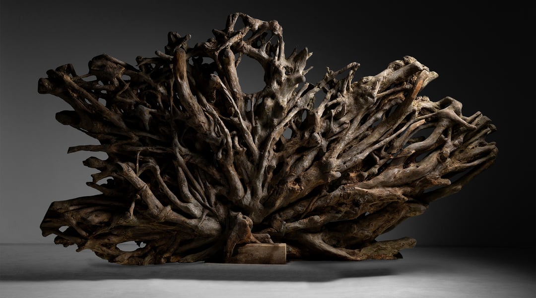 Massive Root Sculpture, 136 Inches | Obsolete | Culver City, CA