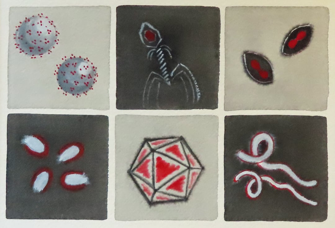 Black, White and Red Viruses- original watercolor painting of viruses ...