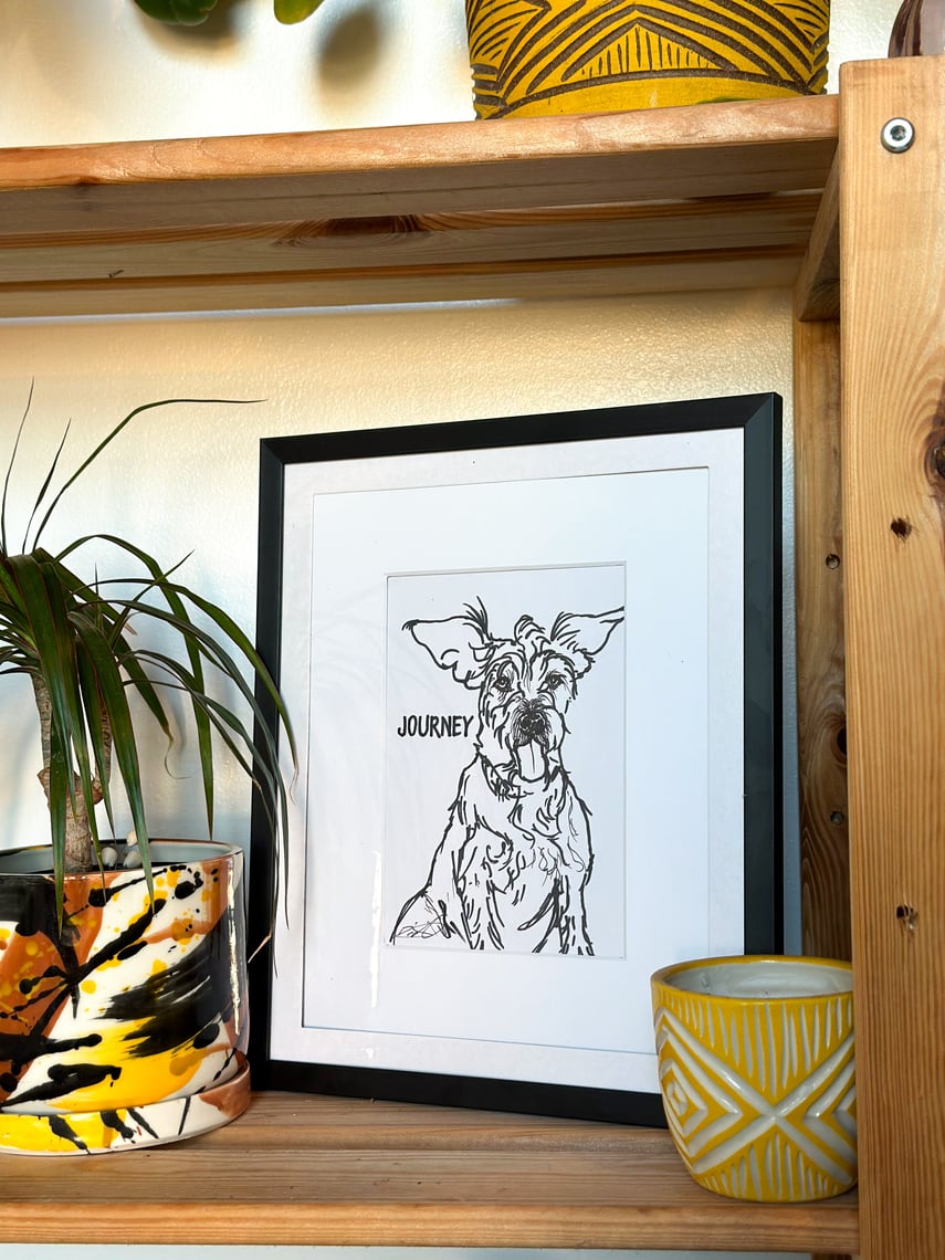 Picture Framed Pet Portraits - Line Drawing | SampleHAUS | Los Angeles, CA