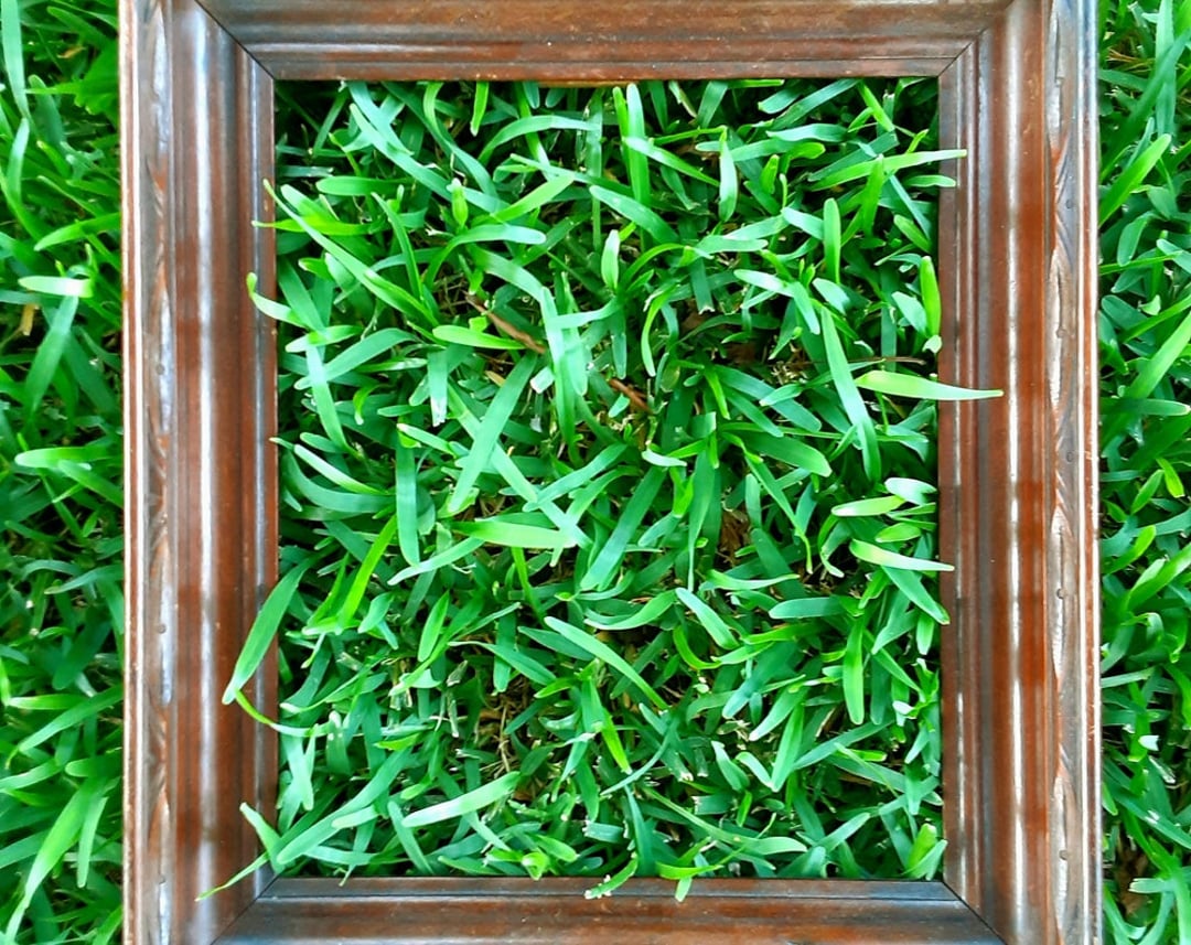 Antique East Lake Deep Well Frame - Walnut Frame For | Bazzy's House ...