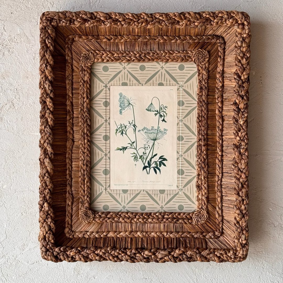 Gusto Woven Frame with Phillip Miller Engraving of Common Bishops-Weed ...