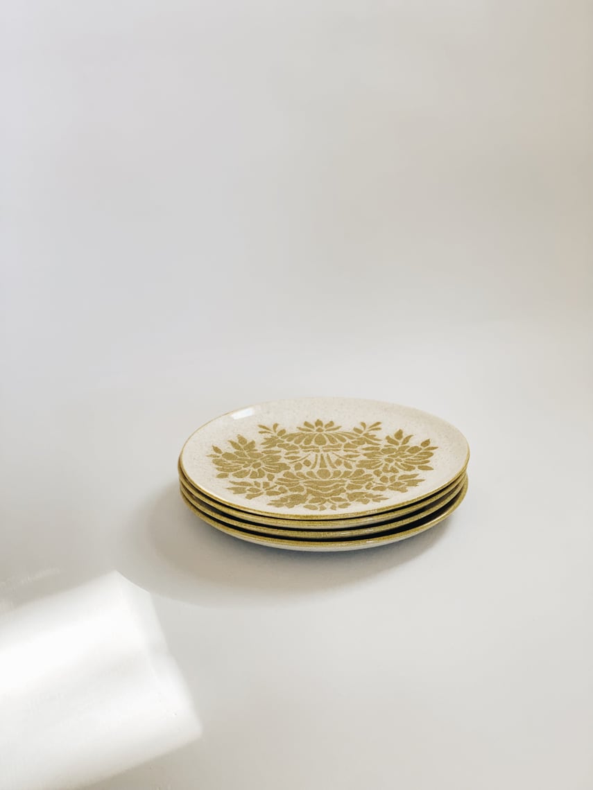 Red Wing Plates | Arlee Park | Minneapolis, MN
