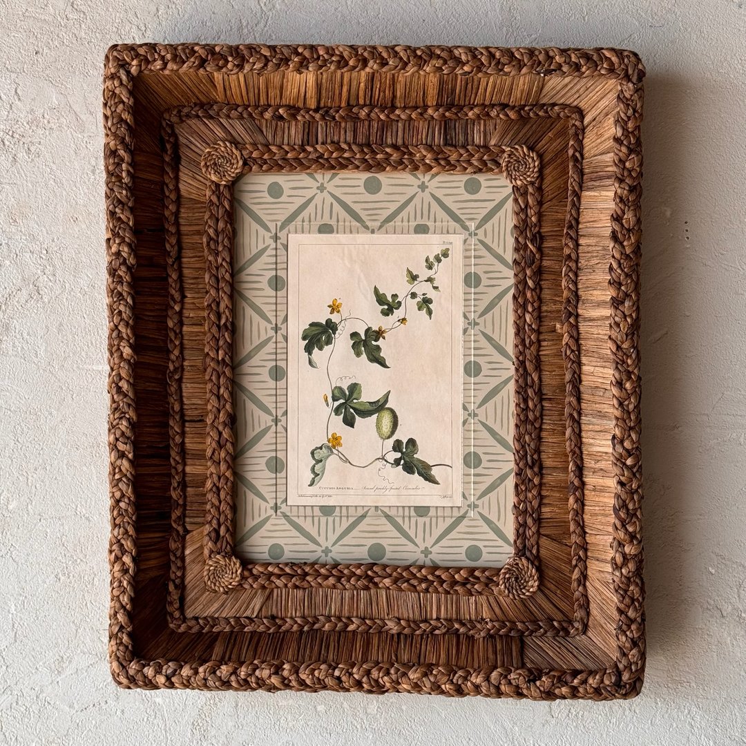 Gusto Woven Frame with Phillip Miller Engraving of Round Prickly ...