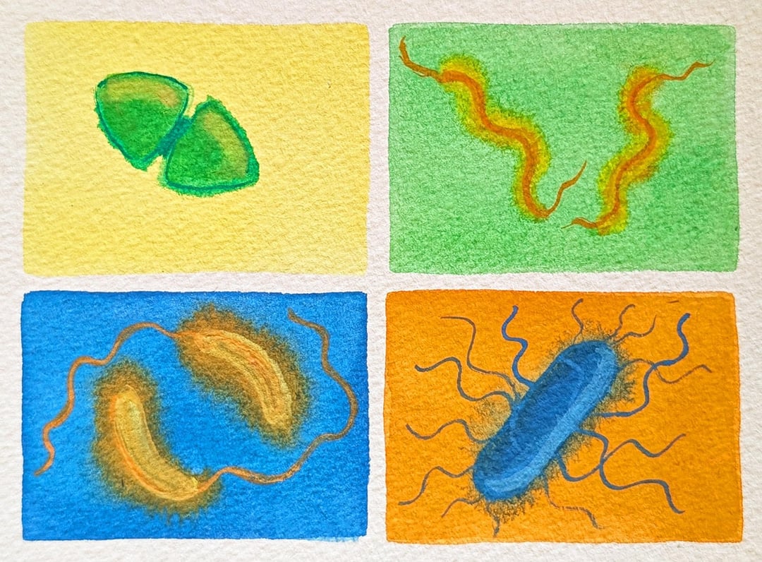 Colorful Bacteria - original watercolor painting - microbiology art ...