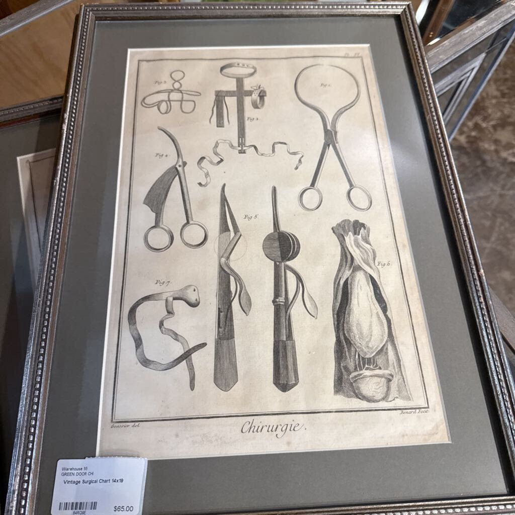 Vintage Surgical Chart 14x19 | Warehouse 55 Chicago - West Town ...