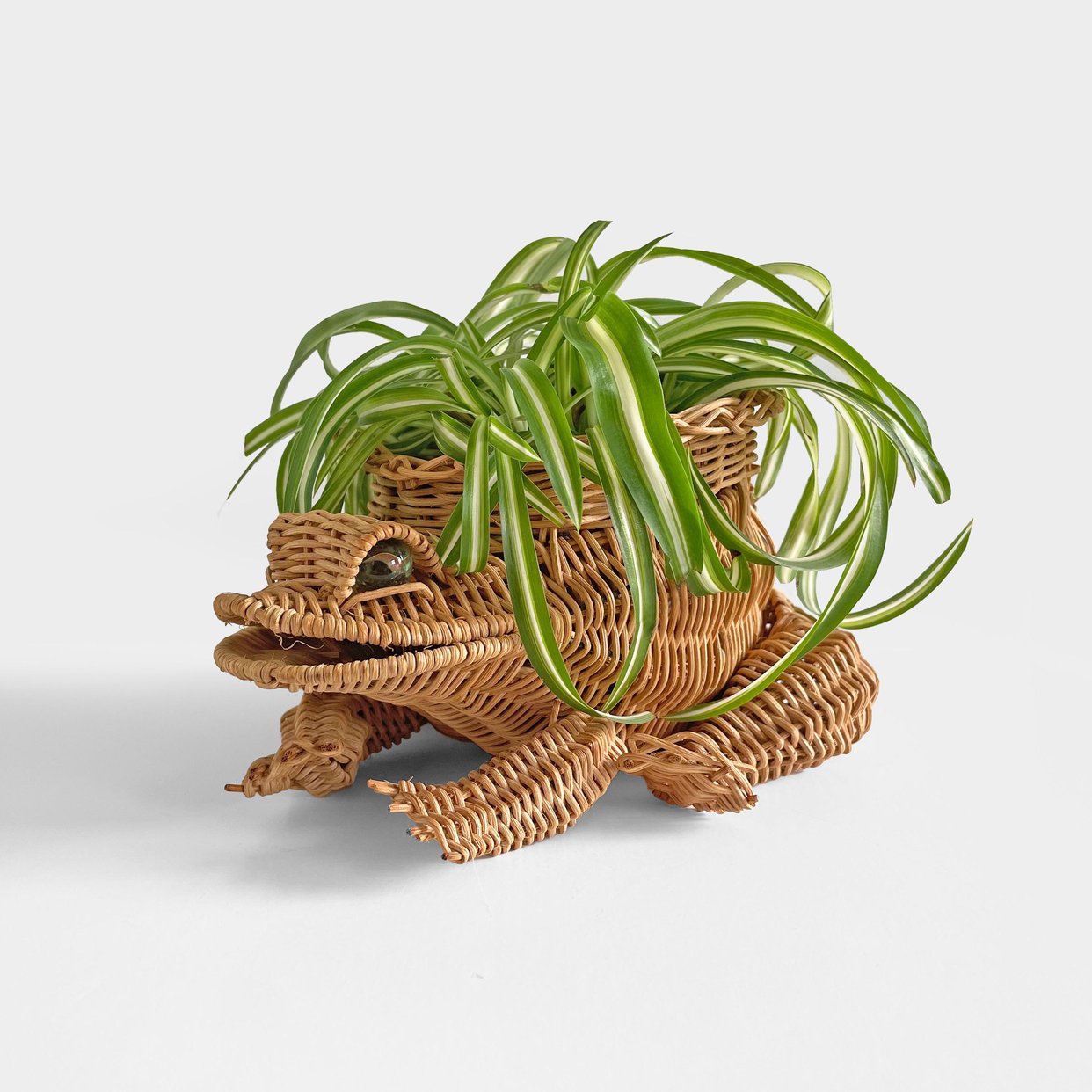 Woven Wicker Rattan Frog Planter Basket with Marble | A Hint of Mustard ...