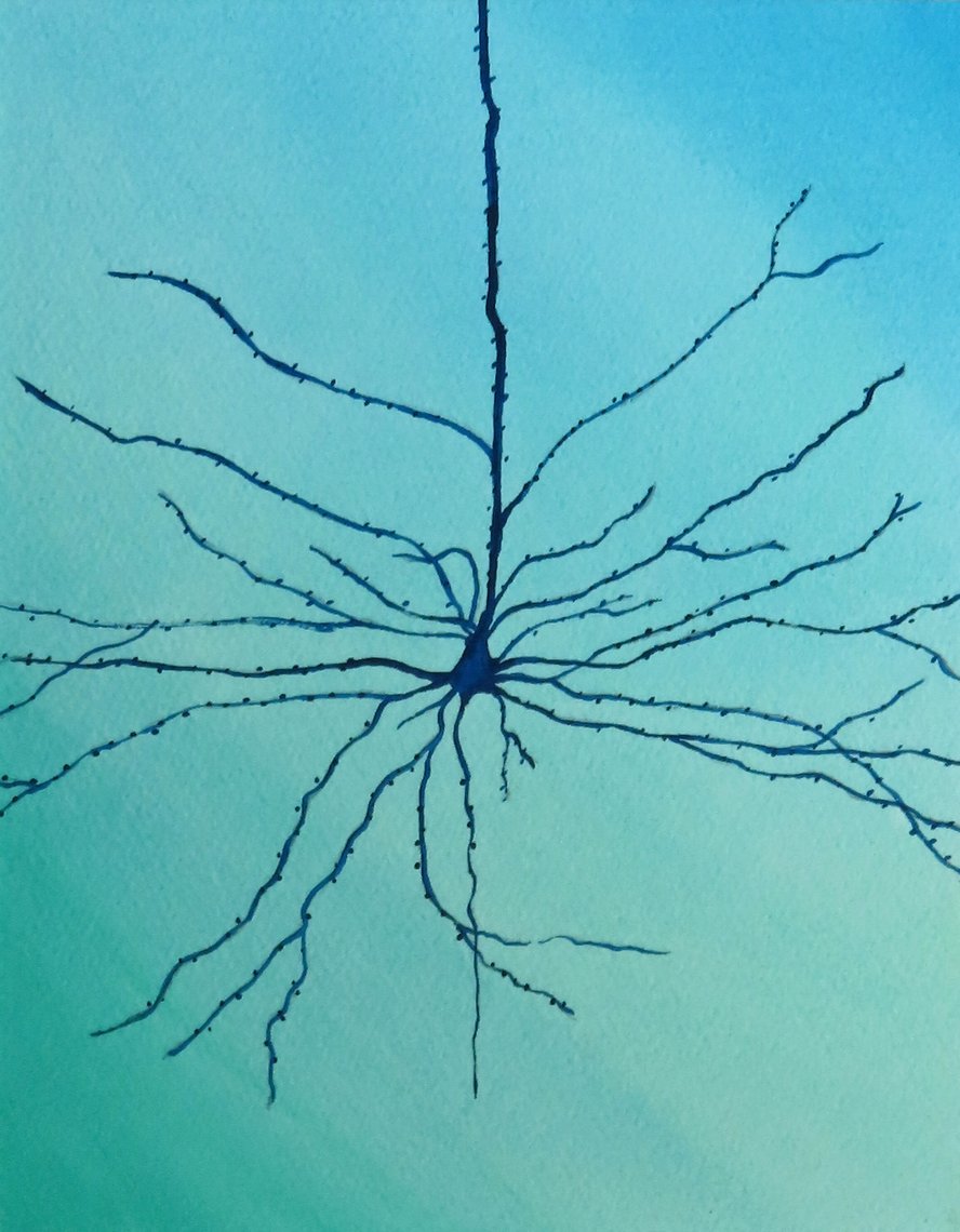 Pyramidal Neuron after Cajal- original watercolor painting of brain ...